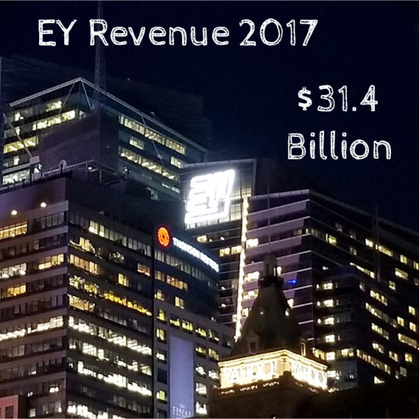 EY 2017 Revenue (Financial Report 2017)
